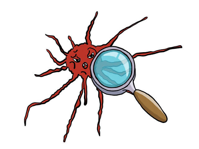 7 findings while decoding your breast cancer pathology result ...